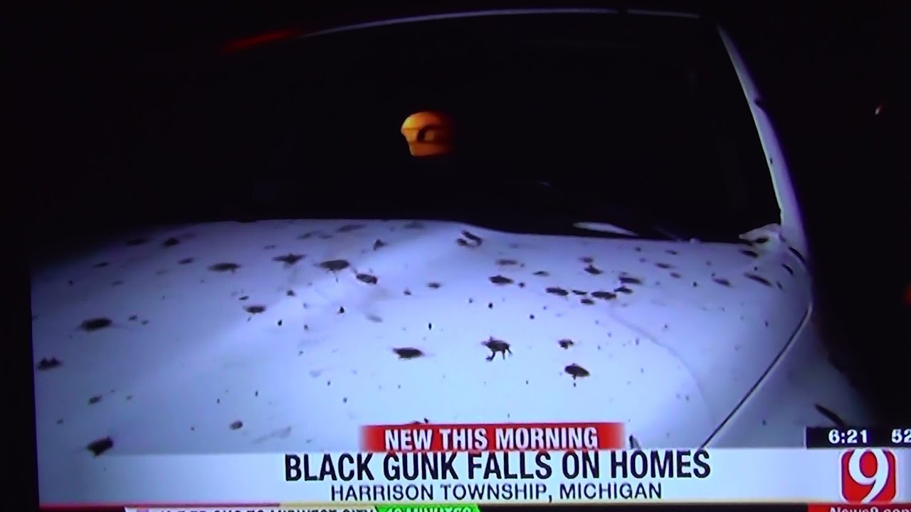 Black Goo Falls From Michigan Sky - YouTube