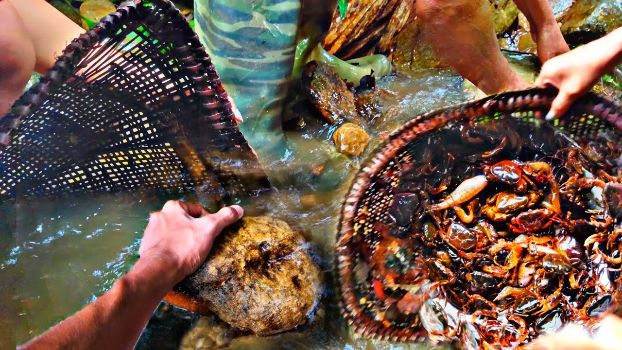 Crab Fishing From Fresh Stream 😱|| Fish Catching Using Traditional ...