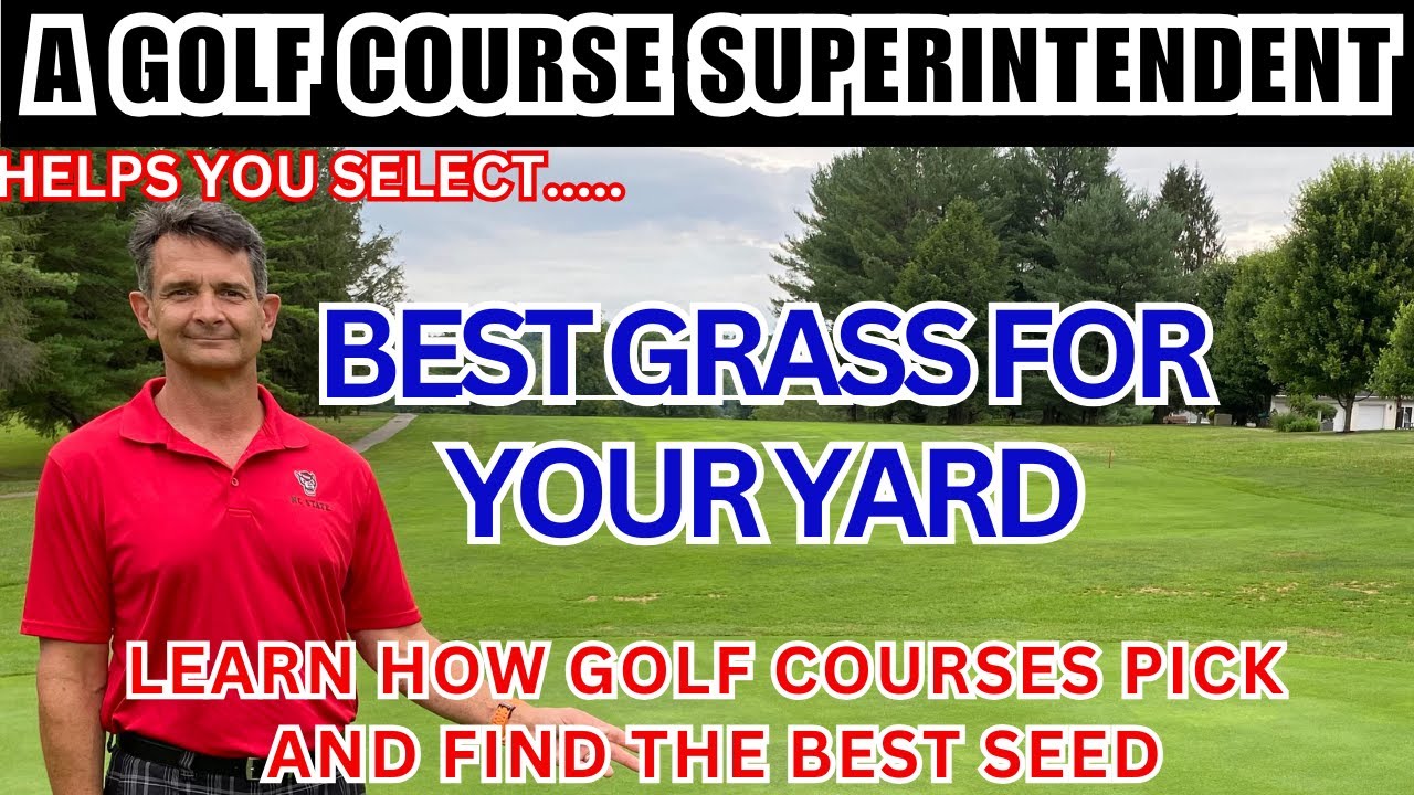How to Choose the Best Grass Seed: Expert Tips from a Golf Course ...
