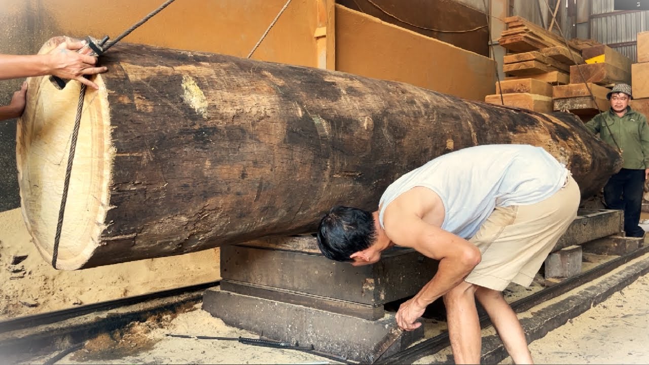 How to Process Massive Tree Using Giant Wood Cutting Machine ...