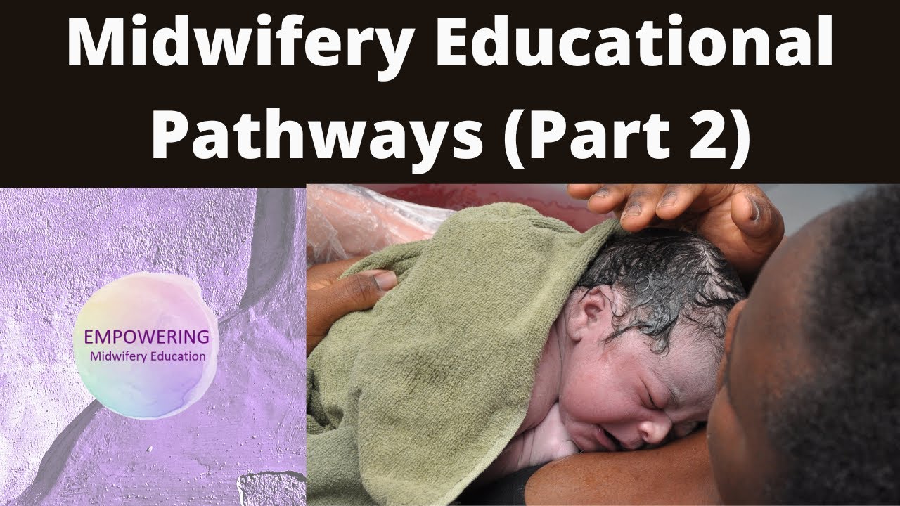 Midwifery Educational Pathway (part 2) | Empowering Midwifery Education ...