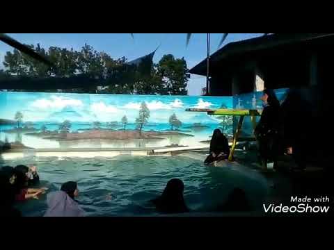 APA YANG TERJADI SAAT CEWEK BERHIJAB MANDI DAN BERSALTO DI KOLAM RENANG