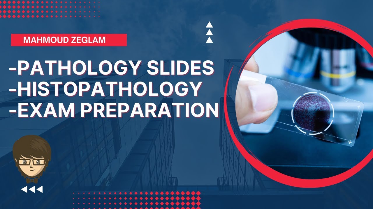 13 Pathology Slides Part IV - YouTube