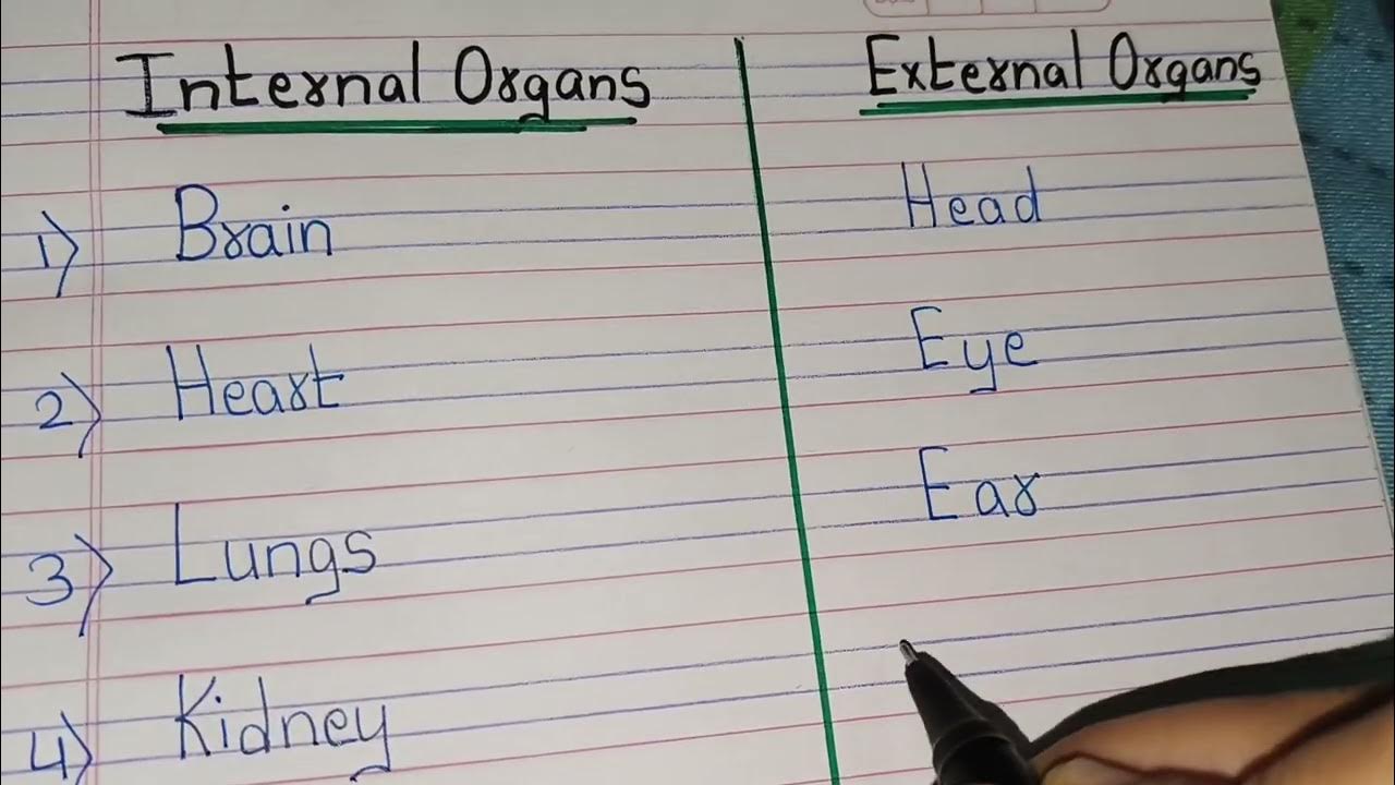 Internal organs/10 internal organs/External organs/10 External organs ...