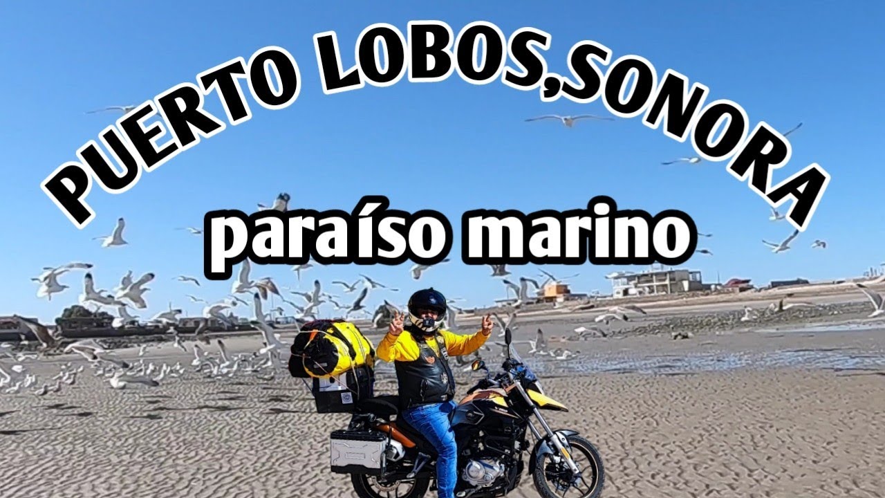 Puerto Lobos,paraíso marino...Caborca,Sonora. - YouTube