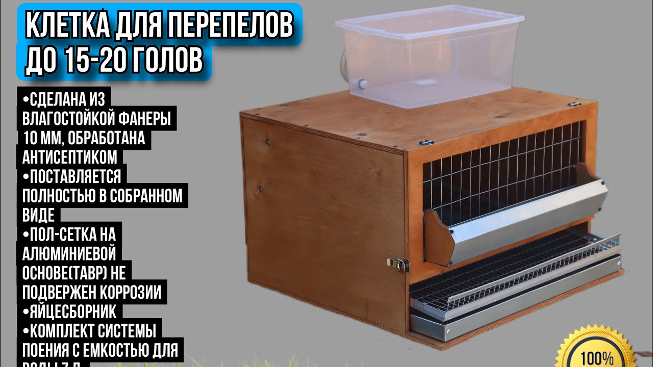 Как сделать клетку для перепелов из фанеры: подробный обзор - YouTube