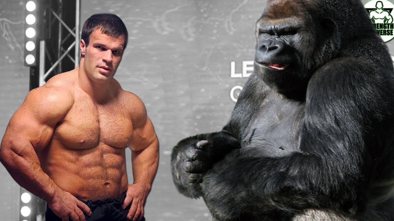 Man VRS Gorilla - The Ape Debate - YouTube