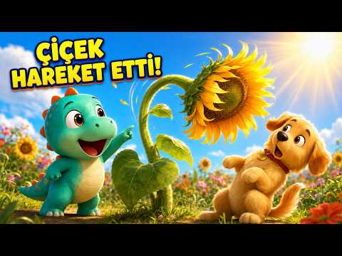 Bölüm 69: Tonton Dino ve Güneşi Takip Eden Çiçek 🌻