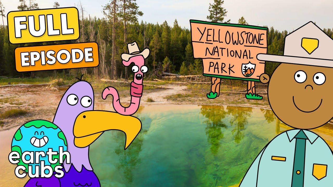 Earth Cubs: Protecting Parks! 🌱⛰️ | Compilation Cartoons for Kids - YouTube