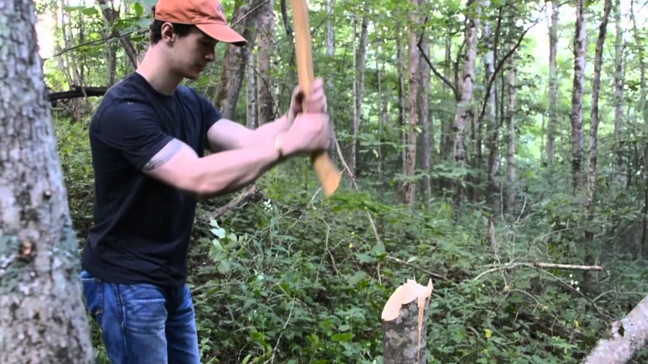 Felling, Limbing, and Bucking. Hoffman Blacksmithing - YouTube