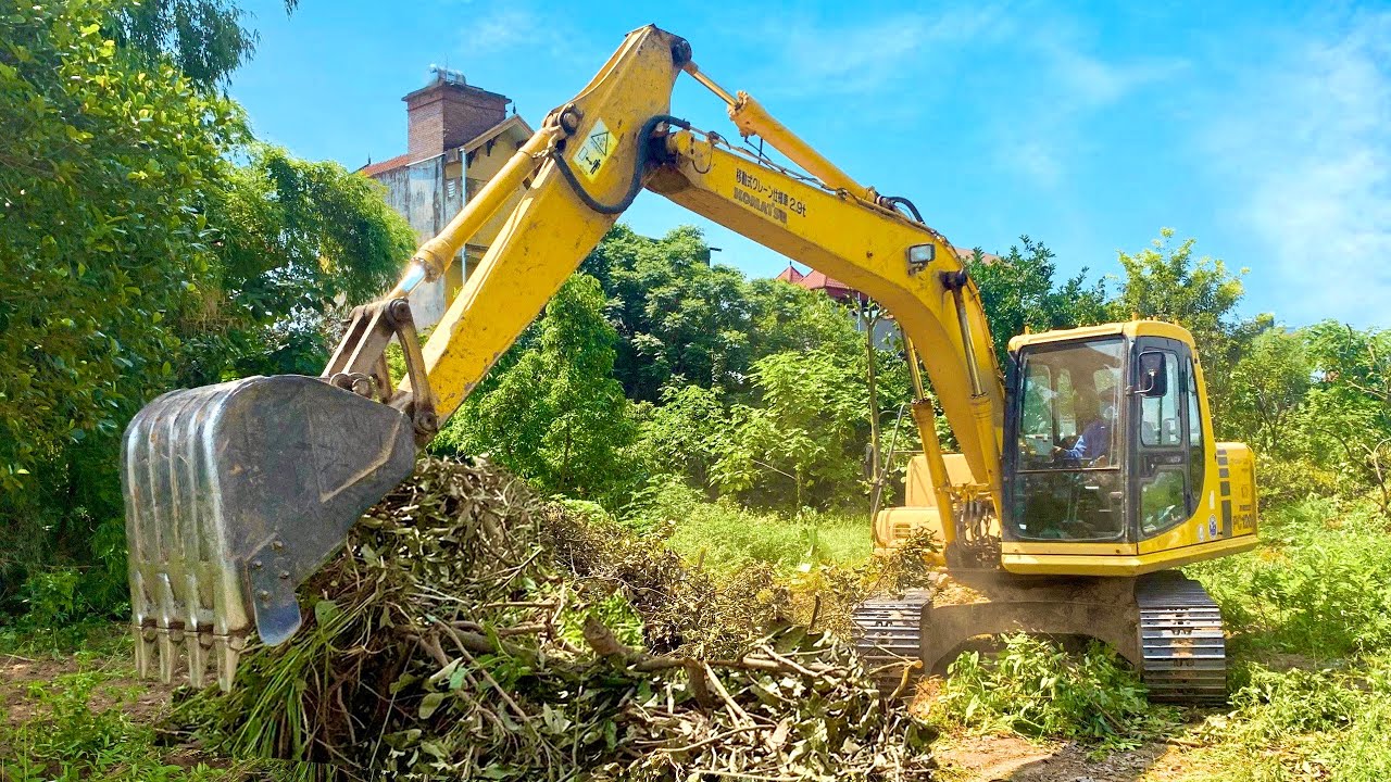Excavator Trucks breaking to remove unwanted trees private land ...