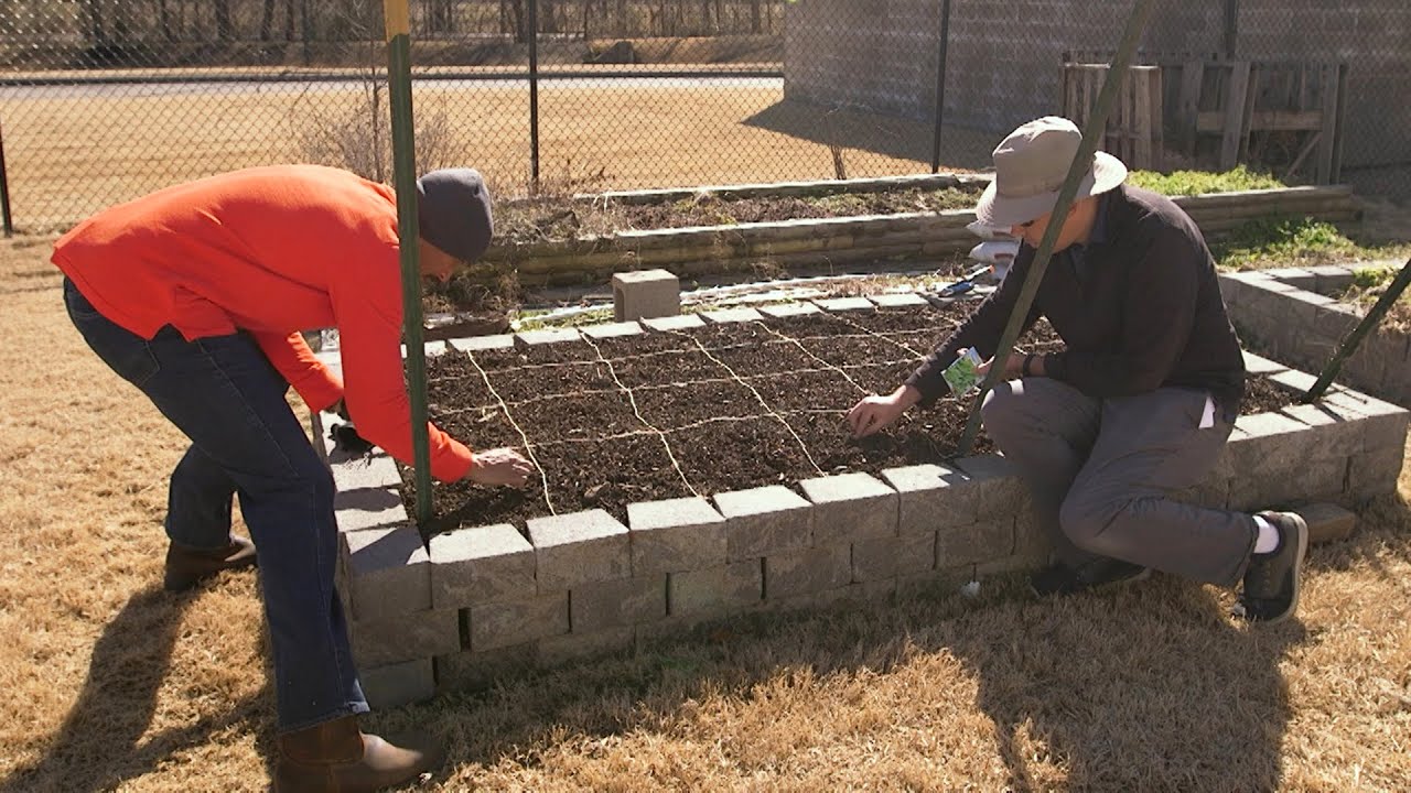 Starting a Square Foot Garden – Family Plot - YouTube