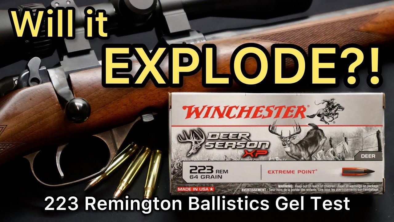 PERFECT .223 FOR DEER? 223 Remington Winchester Deer Season XP 64gr ...