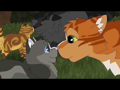 para @Bobay228 xd // es para hacer una mapa en warrior cats que se ...