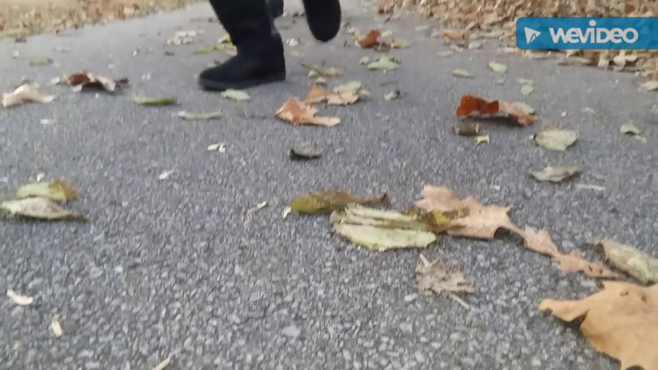 INSIDE THE WOODS ( Tre Nation ) - YouTube