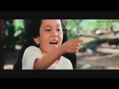 BERRY PRIMA BERGOLA IJO 1983