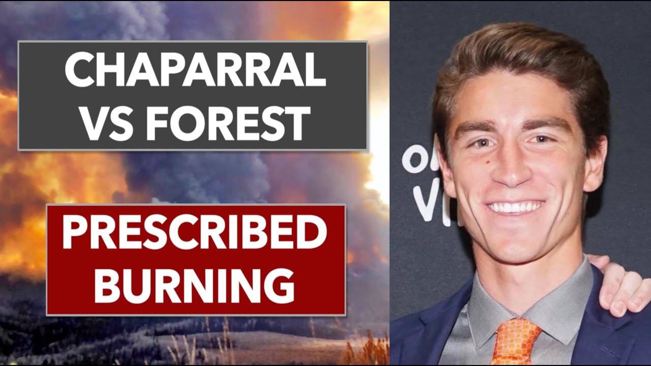 Chaparral vs. Forest - Is Prescribed Burning Beneficial? - YouTube