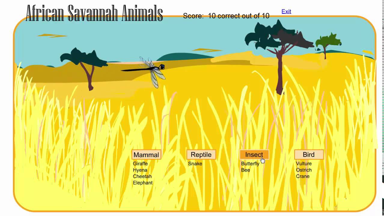Cool Games For Kids: Learn about African grassland animals - YouTube
