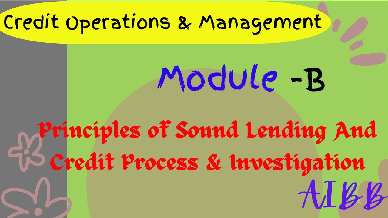 Principles of Sound Lending and Credit Process & Investigation (Module ...