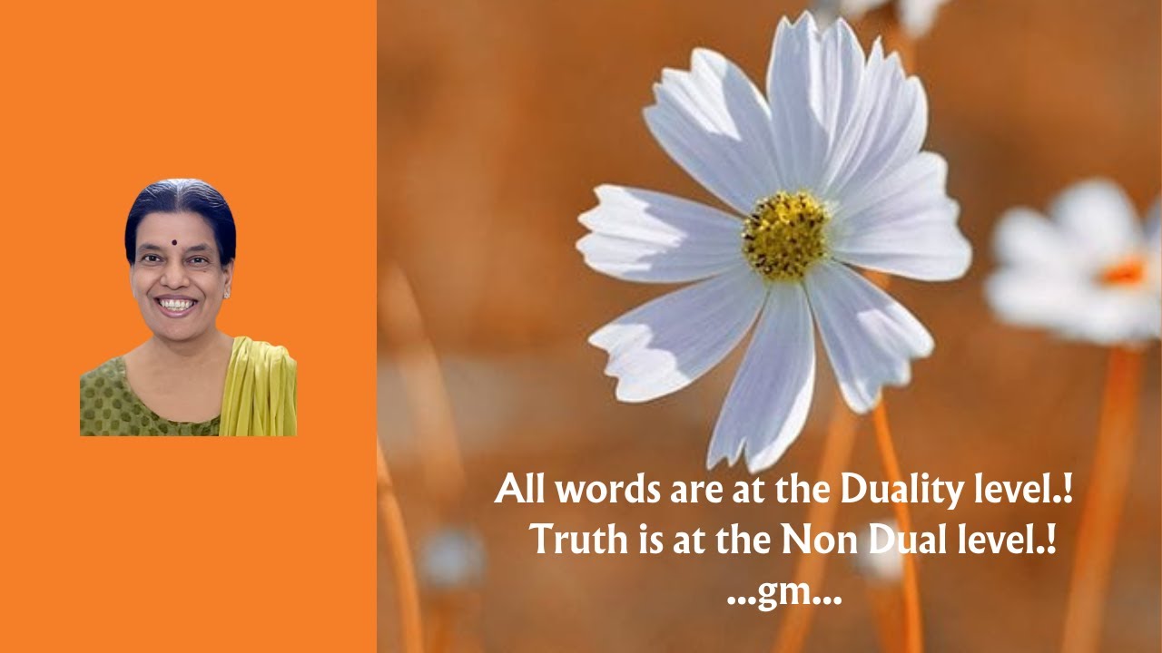 All words are at the duality level.! Truth is at the Non Dual level ...