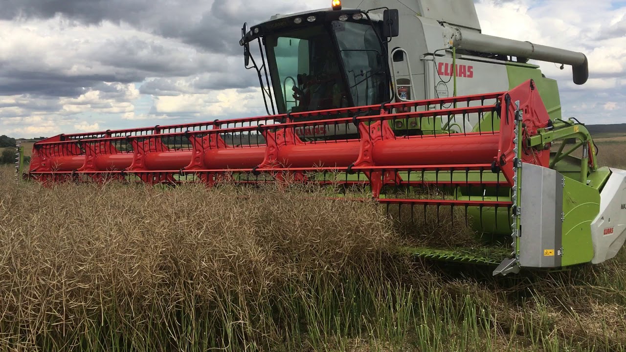 Рапсовый стол ZURN (Зюрн) на Claas MaxFlex 930, ріпаковий стіл - YouTube