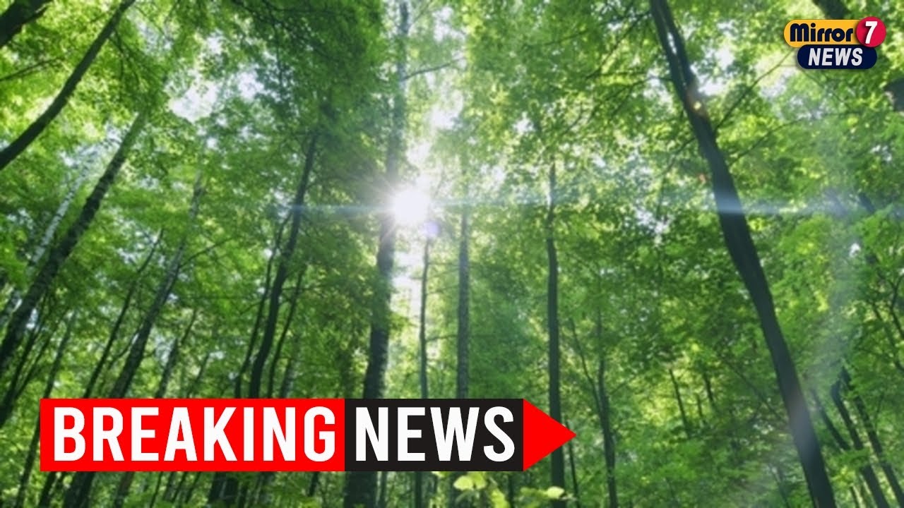 Understanding the Early Arrival of Summer: Solstice Explained - YouTube