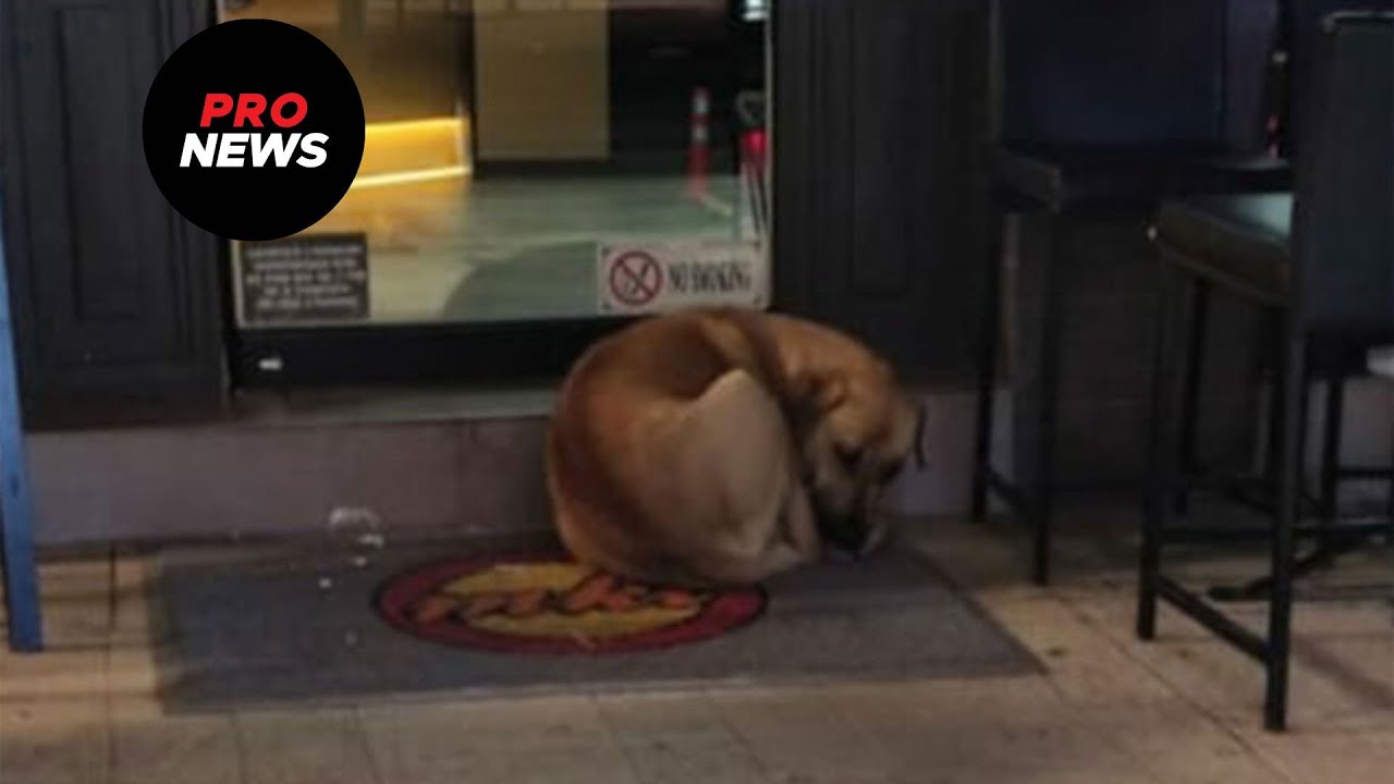 Θεσσαλονίκη:«Ήμουν μεθυσμένος» υποστήριξε στον ανακριτή ο αλλοδαπός ...