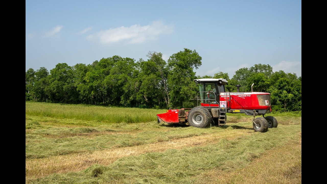 Making Hay at Pride Ranch....Get the Grass Cut - YouTube