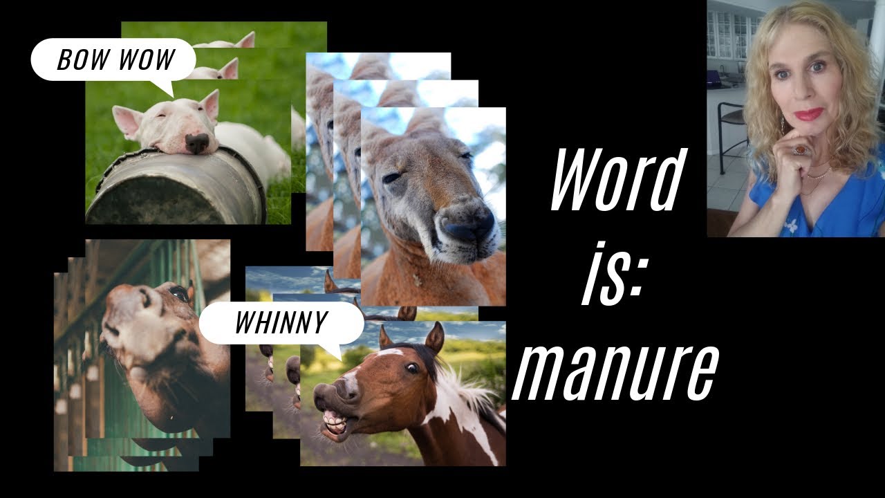 How To Pronounce The Word Manure In American English And Use In A how-to-pronounce-the-word-manure-in-american-english-and-use-in-a