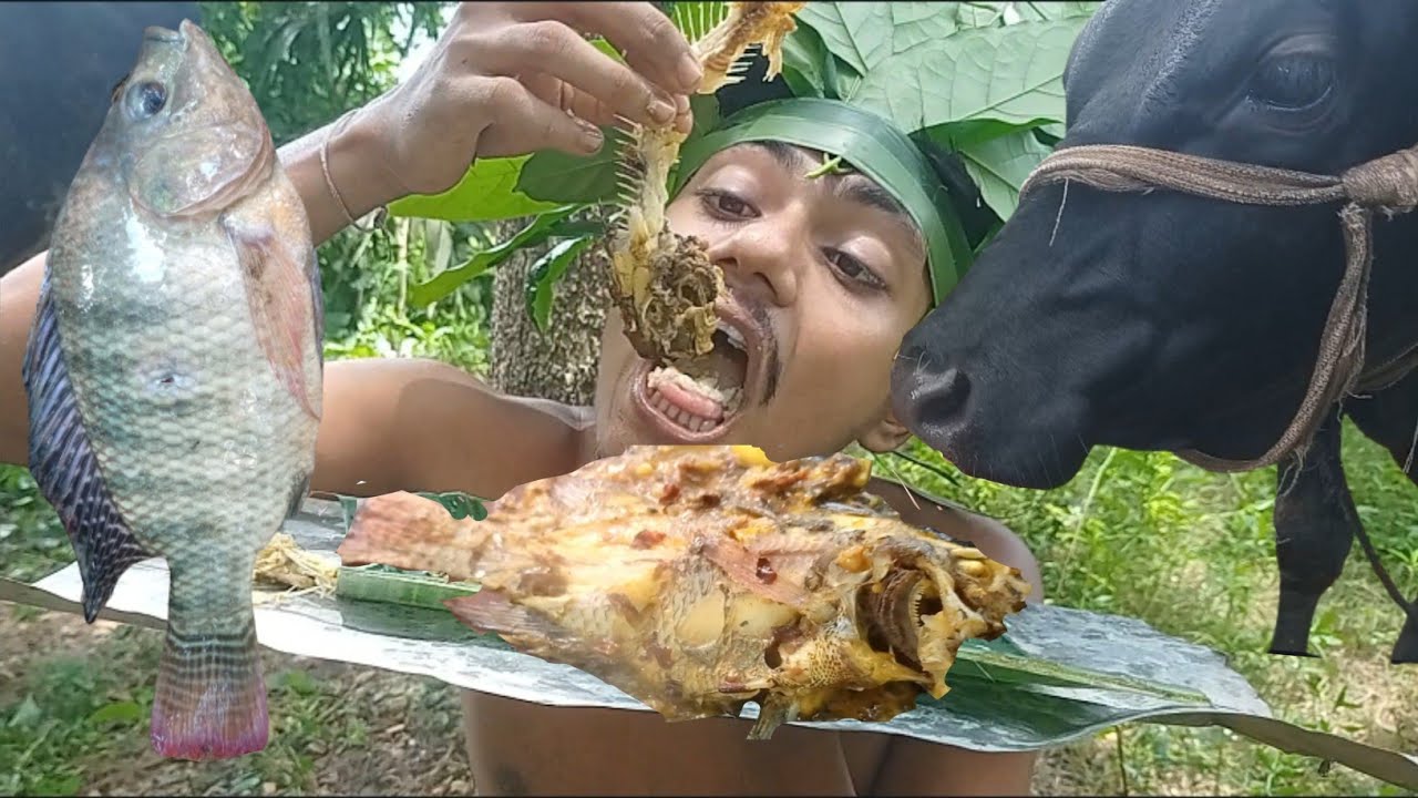 Hunting Tilapia Fish with Bows and Eating Tilapia Fish Fried on Fire ...