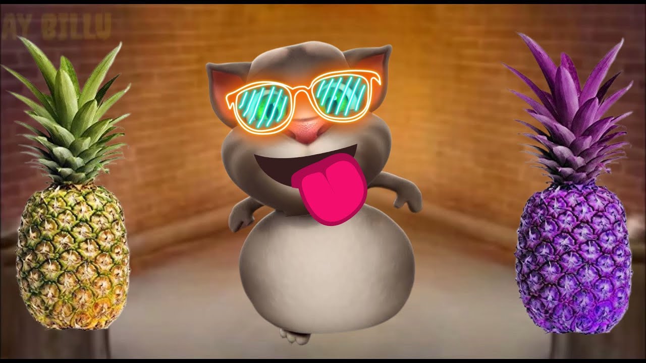 billu funny cat video billu color pineapple talking tom comedy video ...