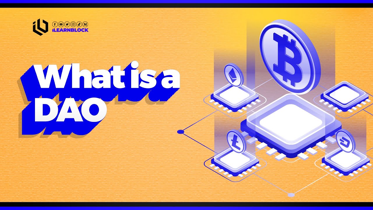 DAO Explained! - YouTube