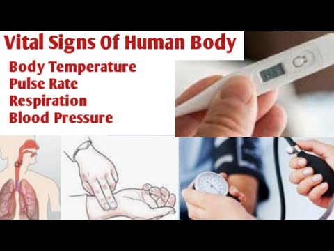 4 Vital Signs Of Human Body | Temperature | Pulse | Respiration | Blood ...