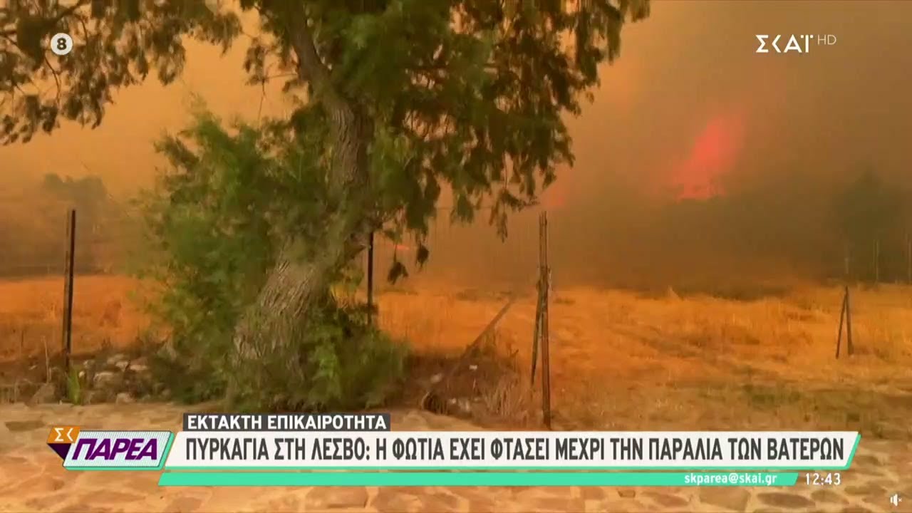 Δραματική η κατάσταση με την πυρκαγιά στη Λέσβο – Η φωτιά έχει φτάσει ...