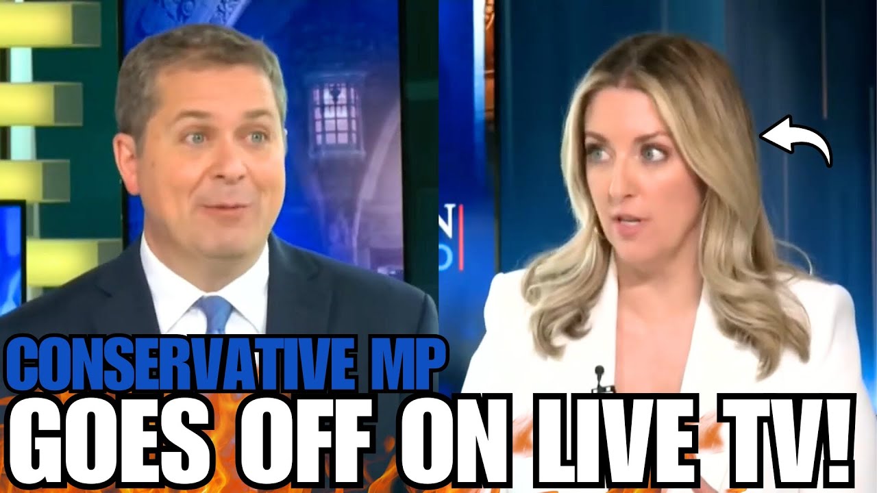 Conservative MP Shows CTV Reporter Who's BOSS On LIVE TV! - YouTube