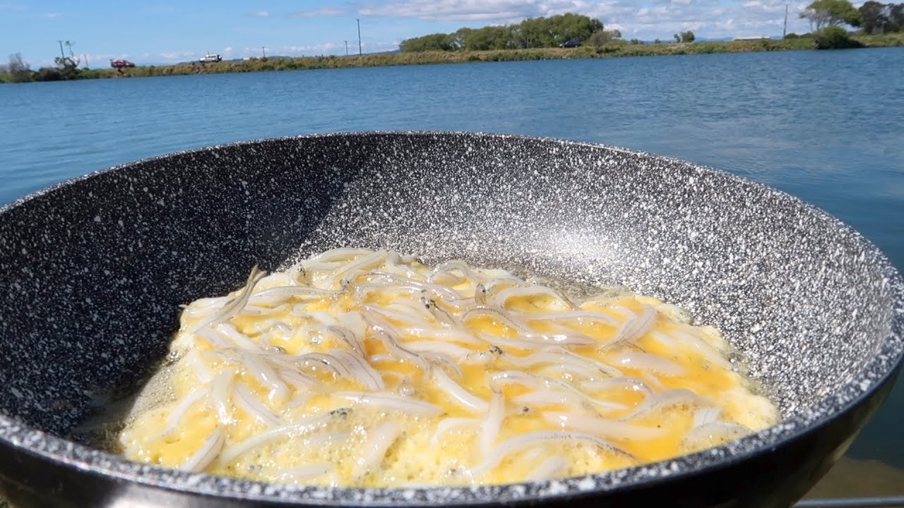 CATCH and COOK Whitebait Down By The River Part 1 - YouTube