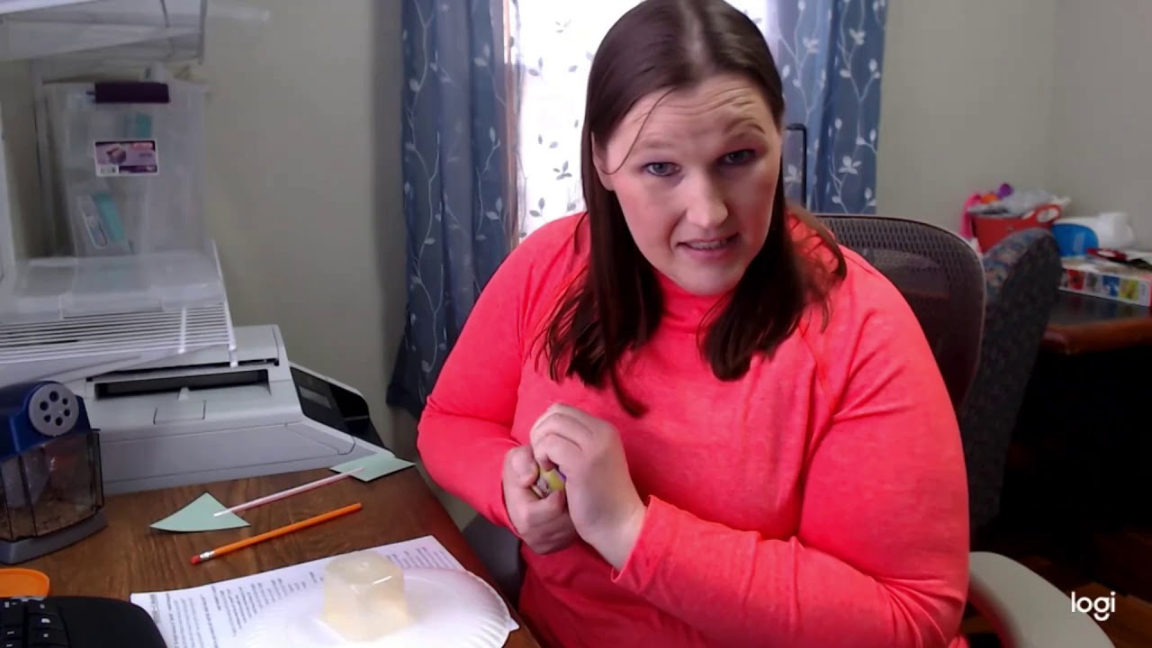 Steam Academy W Ms Amanda Youtube