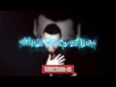 Dini Whatsapp status Shietul-Ali