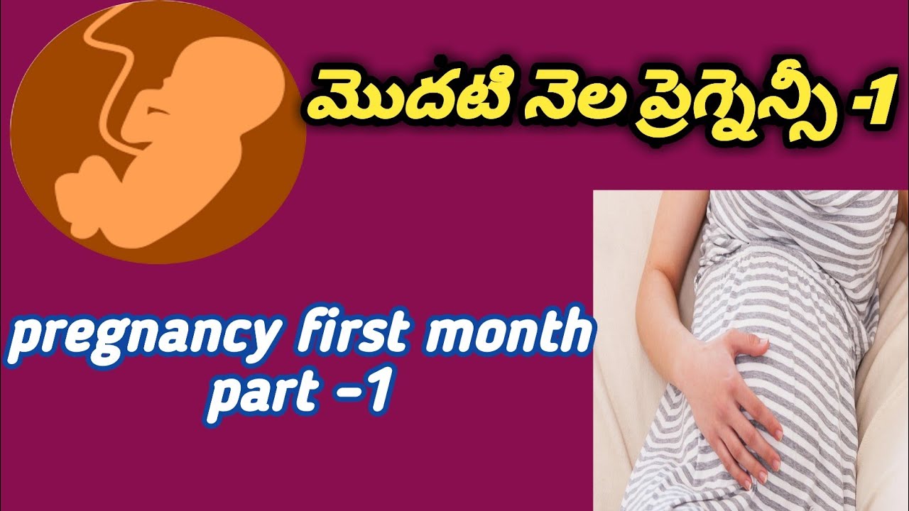 1st month of pregnancy symptoms|1st month of pregnancy baby development ...