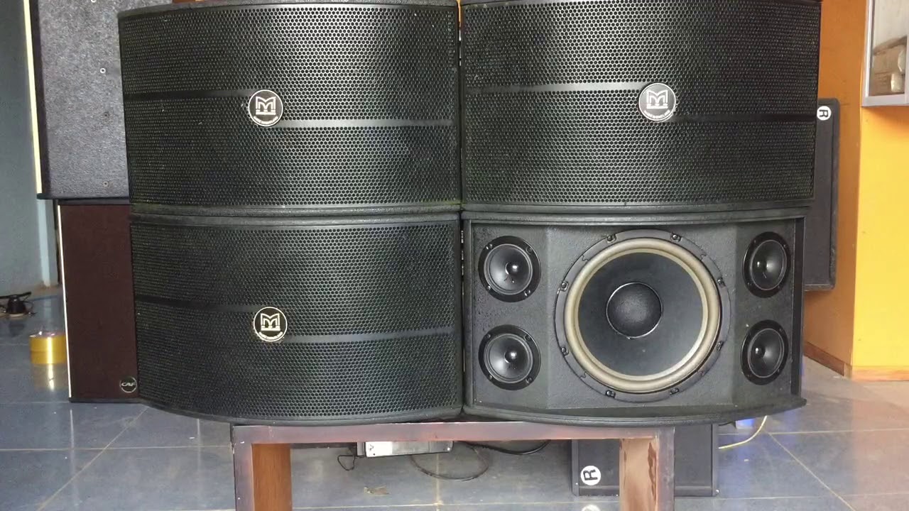 Loa bãi Martin F9 bass 25, 4trelb, chất âm hay. Giá 4tr| 0916.957.808 ...