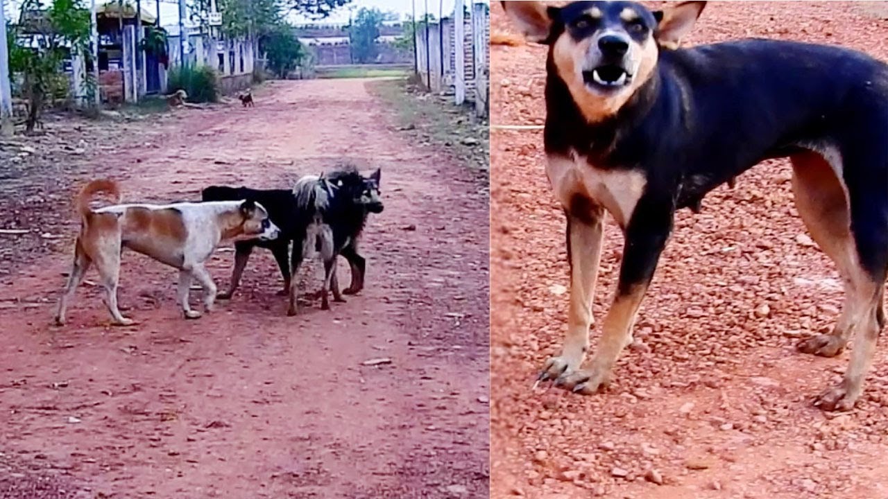 What wrong to sister sambath looking very Angry sister chear and boy ...