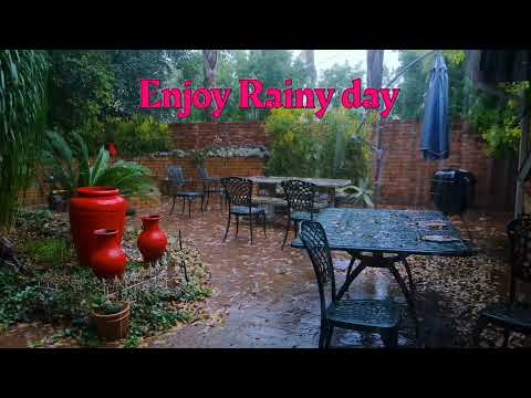 Happy Rainy Day Whatsapp status||WhatsApp Status for Rainy day | Very Beautiful Weather 2022