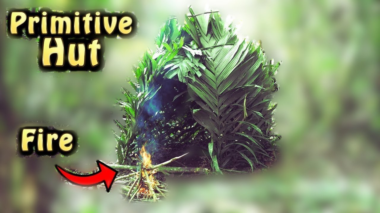 Building A Primitive Hut In The Jungle - YouTube