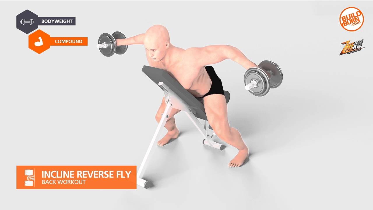 ท่าฝึกกล้ามหลัง Incline Reverse Fly - YouTube