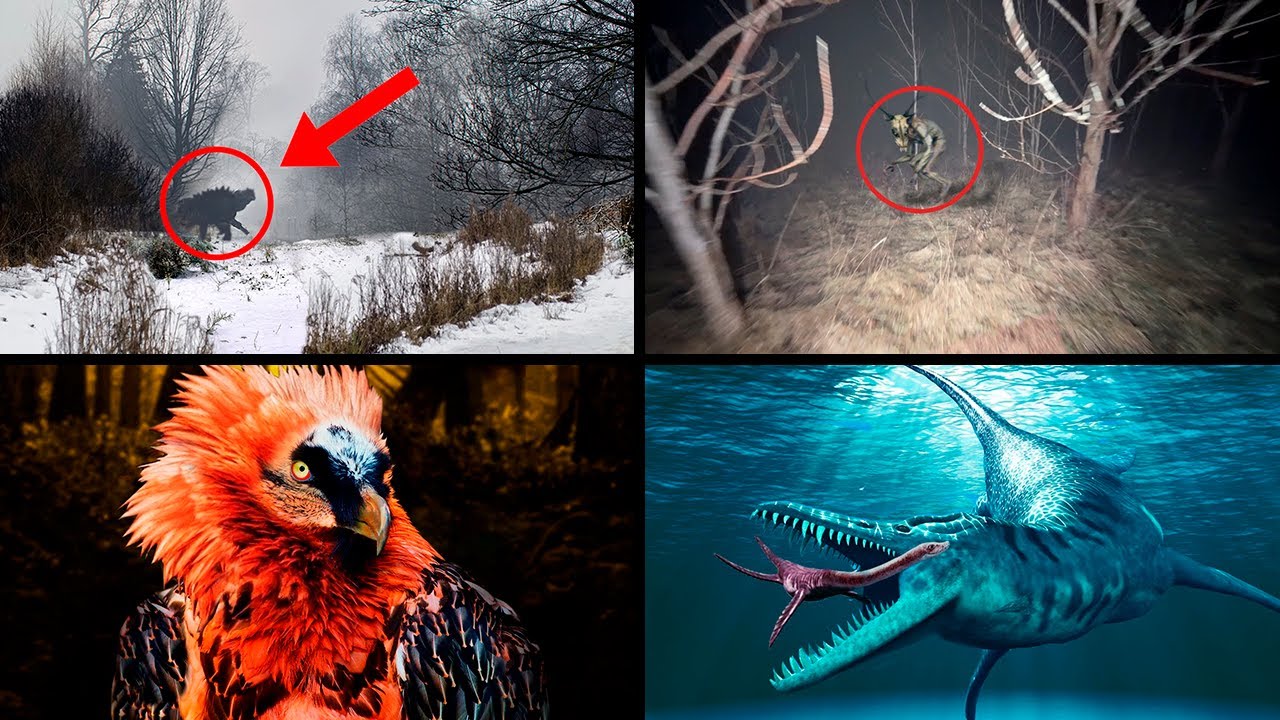 Most Bizarre & Creepy Animal Discoveries! | ORIGINS EXPLAINED ...