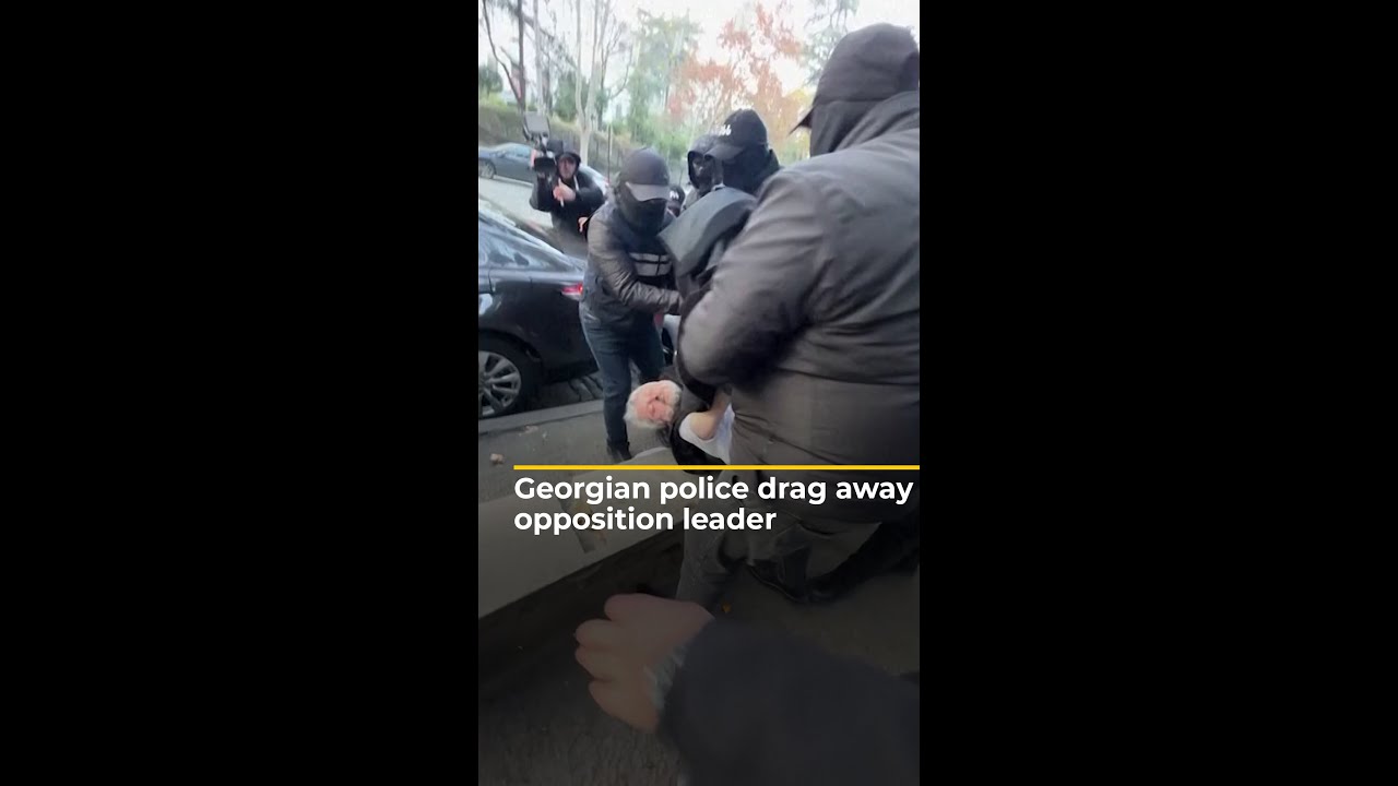 Georgian police drag away opposition leader amid political crisis | AJ ...