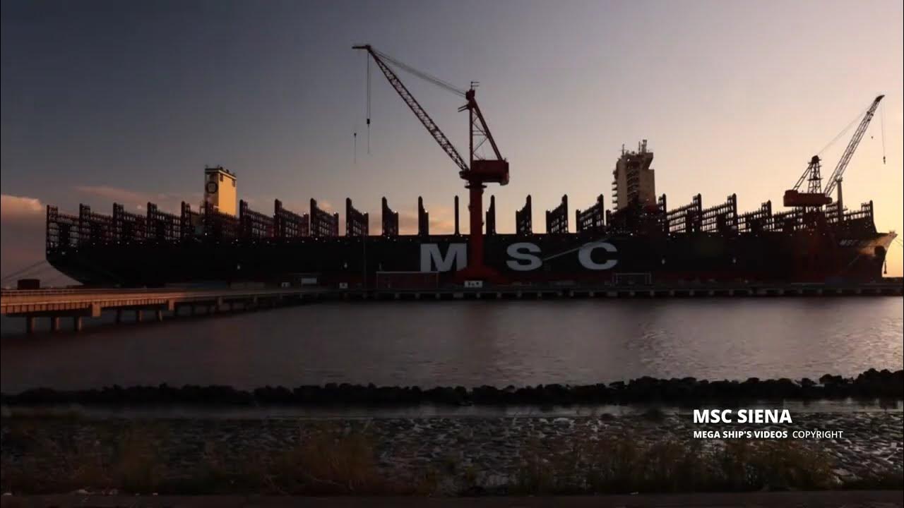 MSC Siena | new build container vessel 16000 TEU 2024 - YouTube