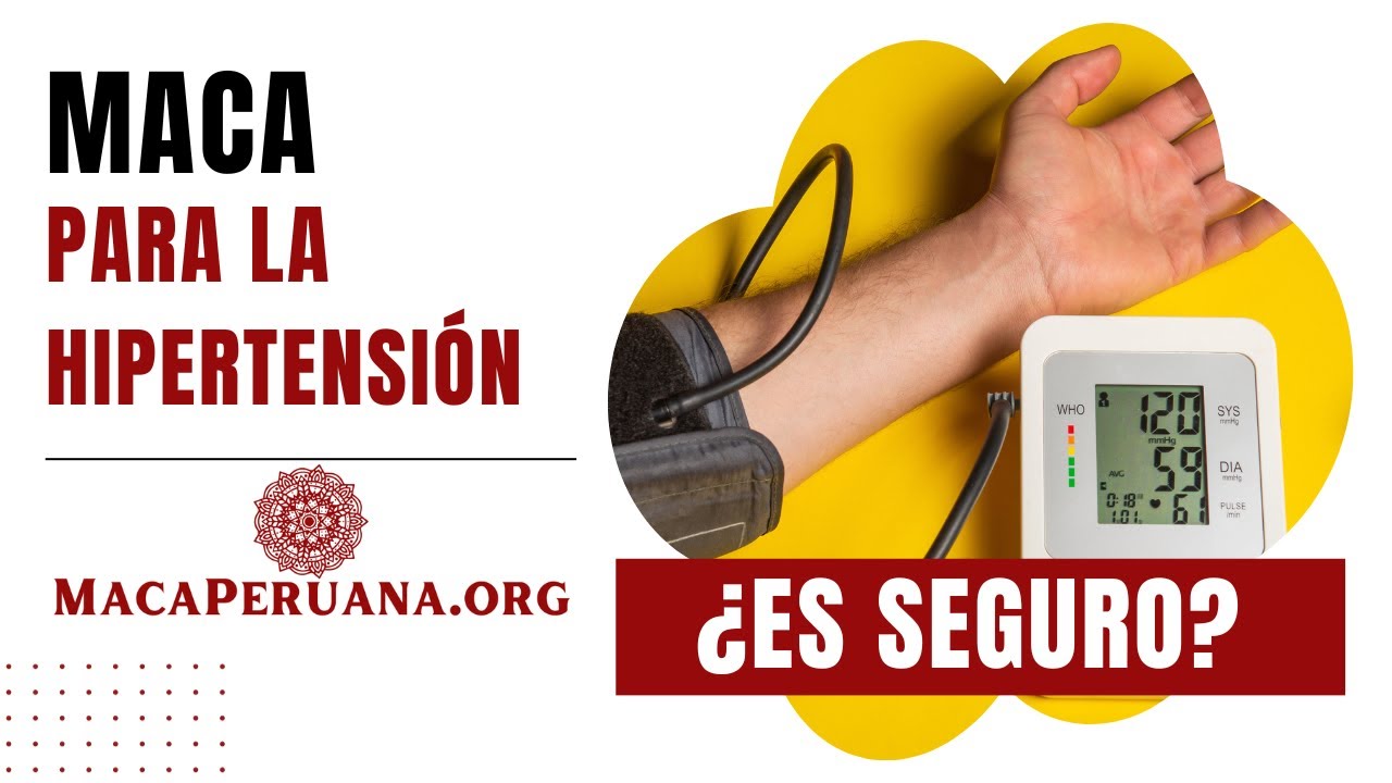 Maca Para La Hipertensión Beneficios Y Contraindicacciones Youtube