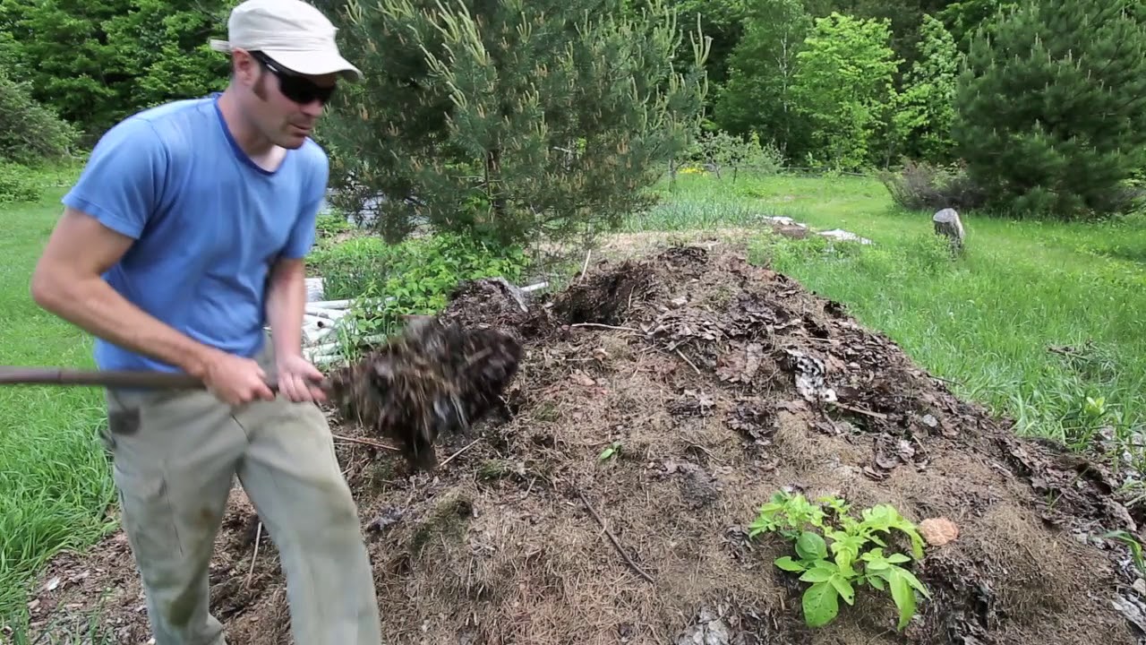 Different stages of Compost - YouTube