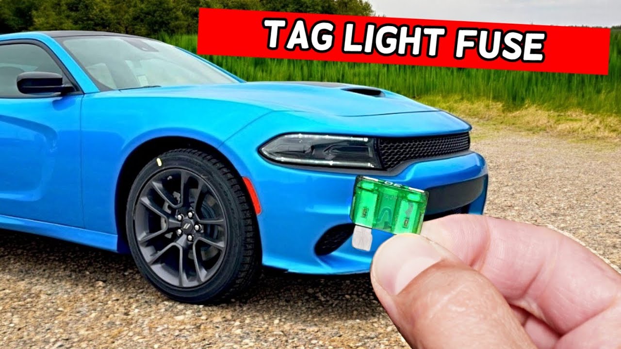DODGE CHARGER TAG LIGHT LICENSE PLATE LIGHT FUSE 2013 2014 2015 2016 ...